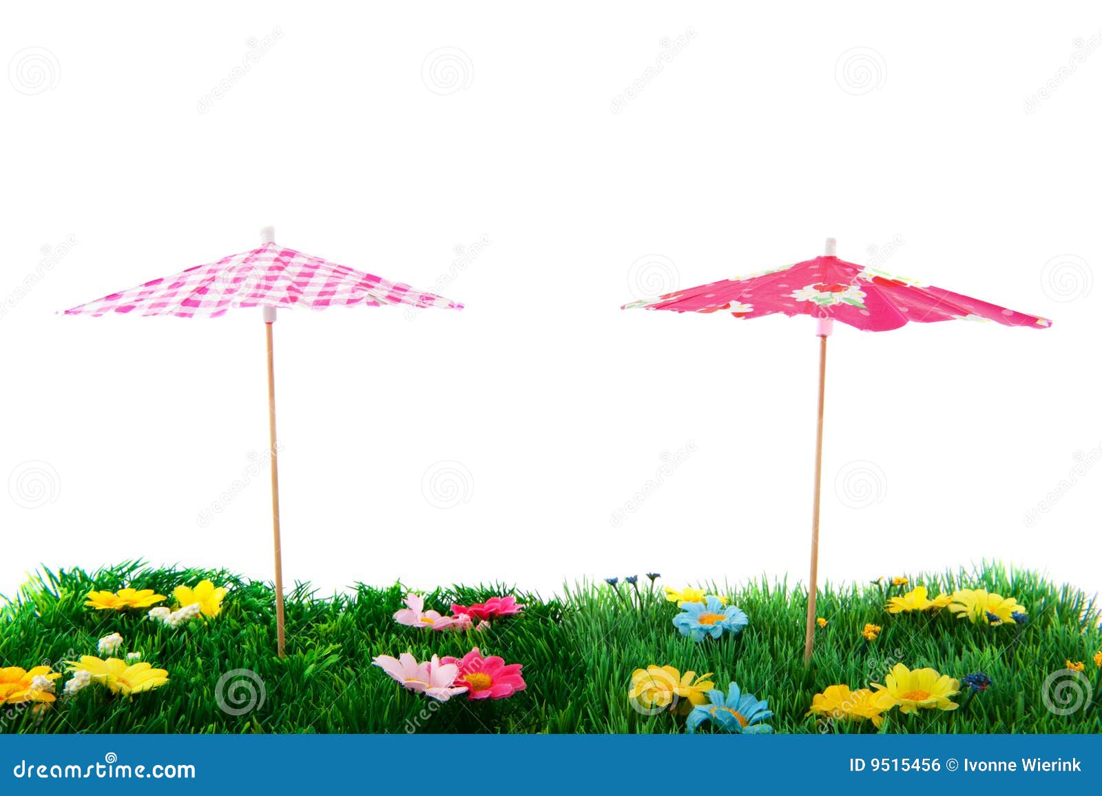 Summer parasols stock photo. Image of flowers, parasols - 9515456