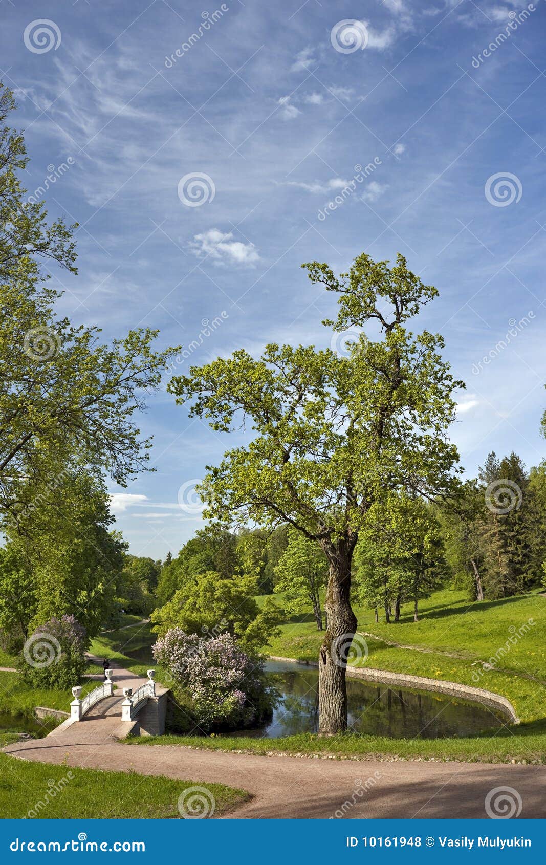 Summer Park Picture. Image: 10161948