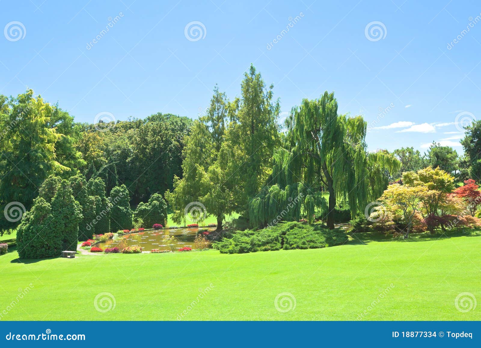 Summer park stock photo. Image of cloud, horizontal, grass - 18877334