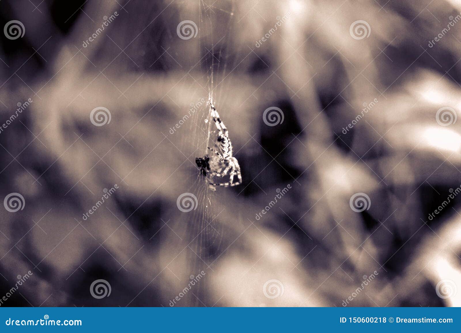 Park in Balta stock photo. Image of travel, park, relaxation - 150600218