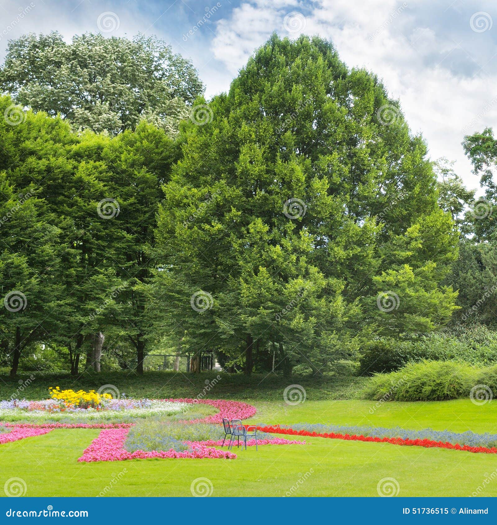Summer park stock image. Image of gardening, flamboyant - 51736515
