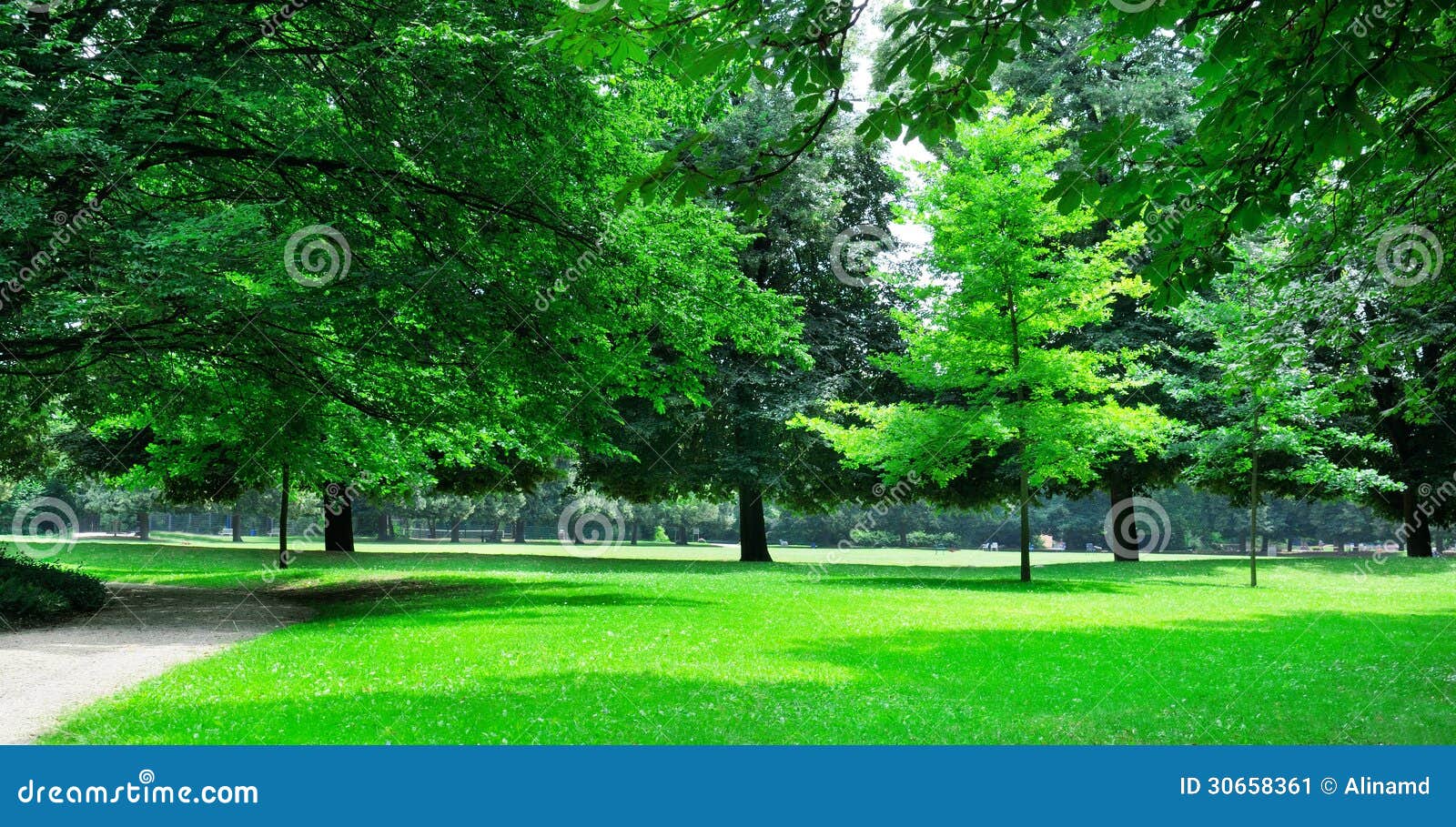 Summer park stock image. Image of landscaping, nature - 30658361