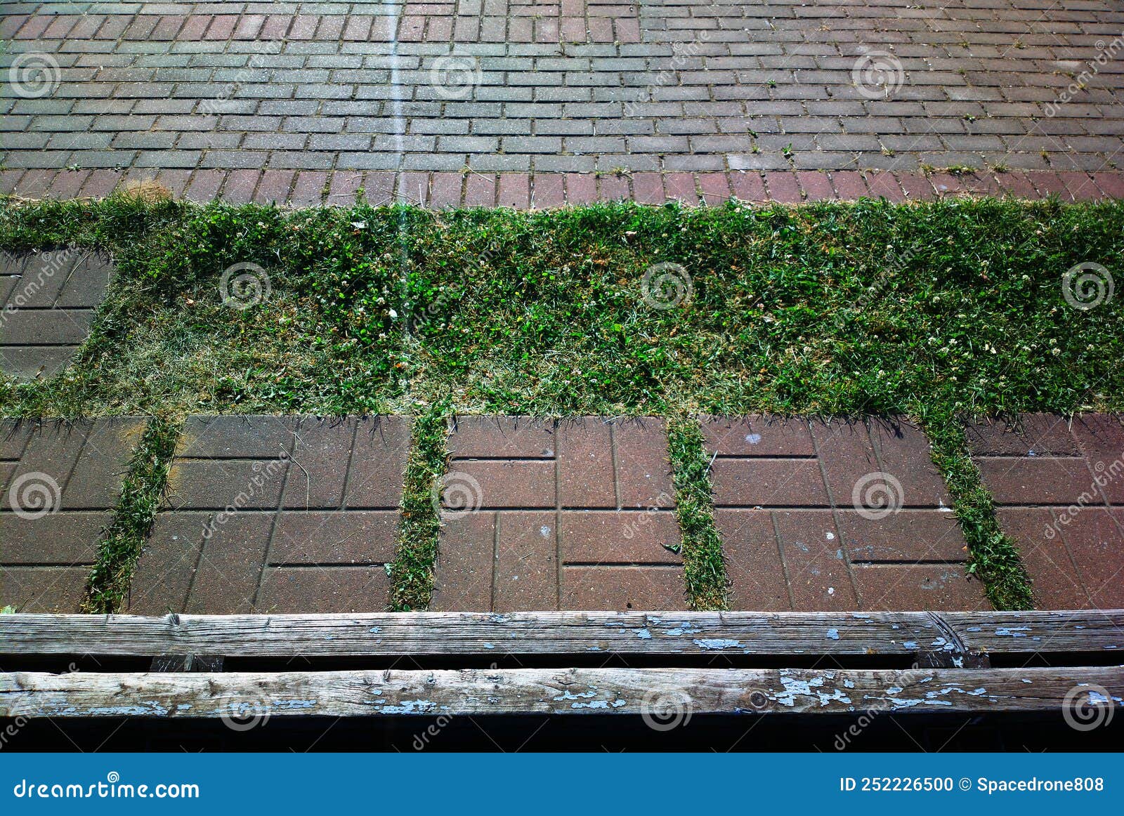 Summer Park Bench Top Down View Stock Photo - Image of decoration ...