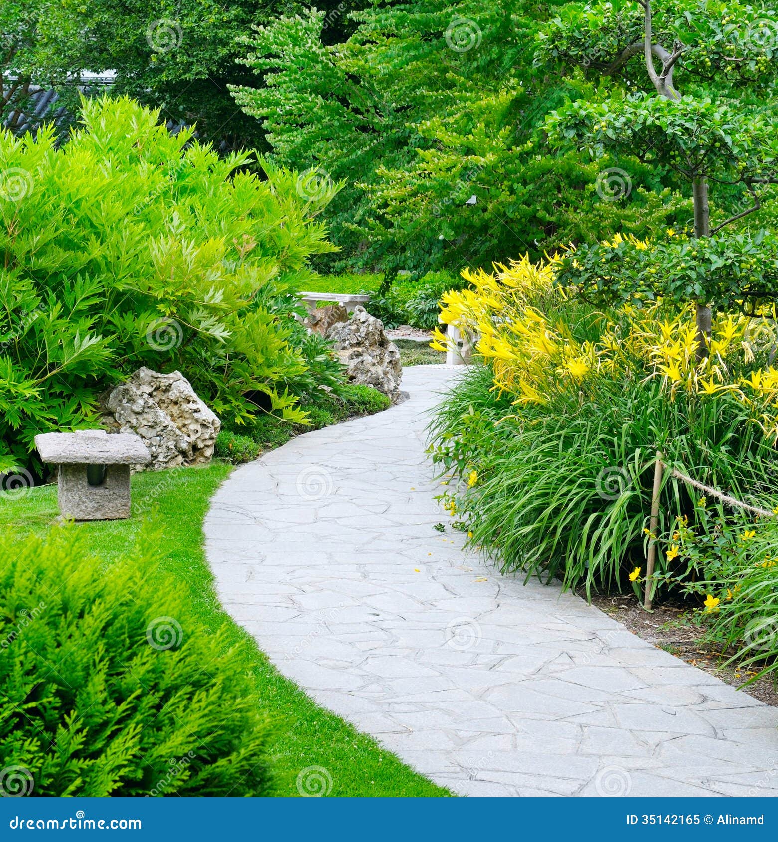 Summer park stock image. Image of flowers, leaf, landscape - 35142165