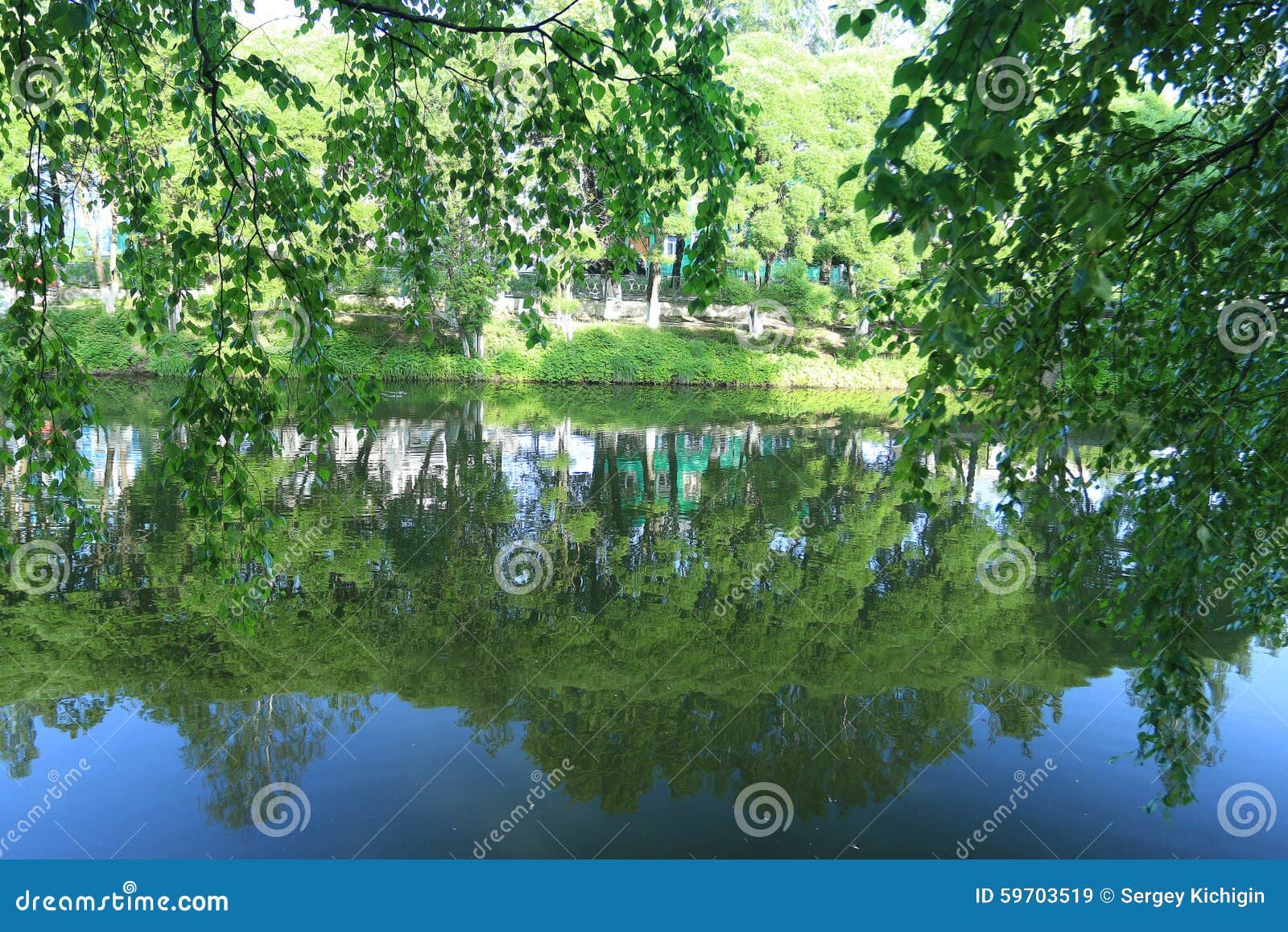 Summer park with pond stock image. Image of locations - 59703519