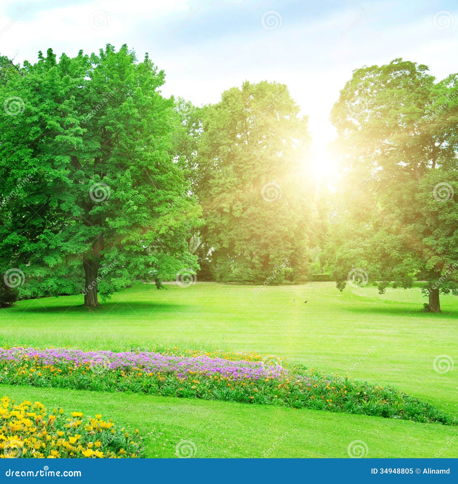 Summer park stock image. Image of meadow, nature, bloom - 34948805