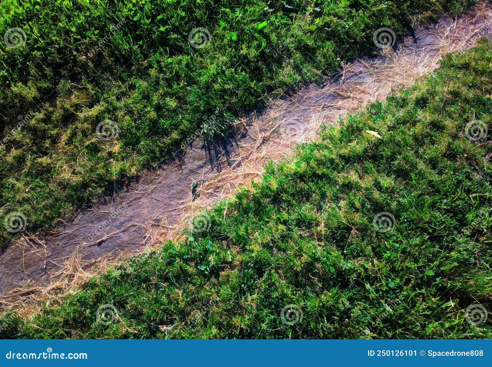 Summer Park Walking Path Texture Background Stock Image - Image of ...