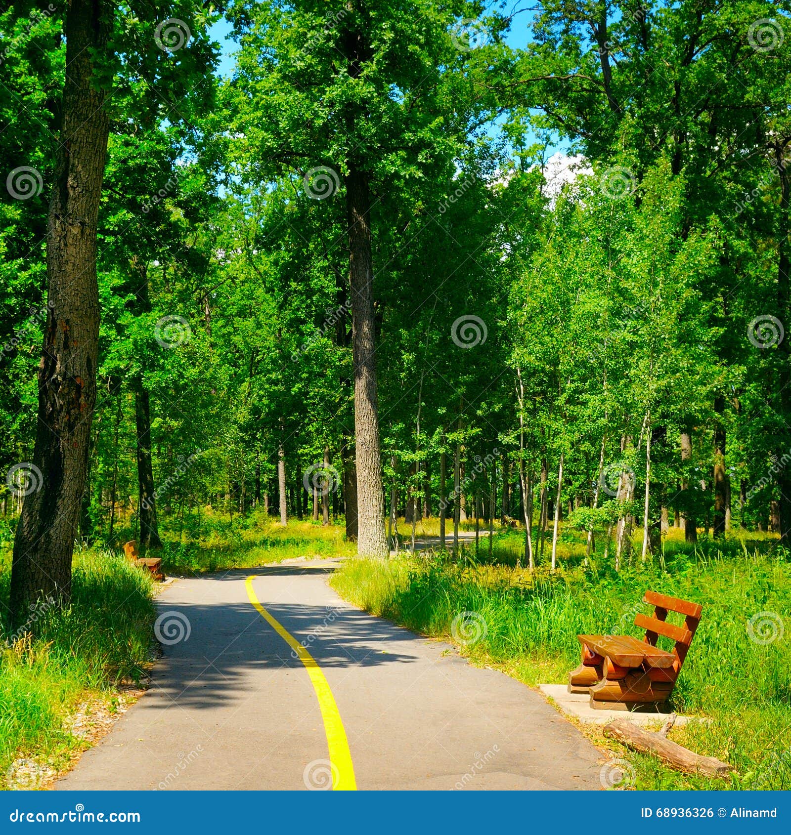 Summer Park with Walking Paths Stock Photo - Image of alley, forest ...