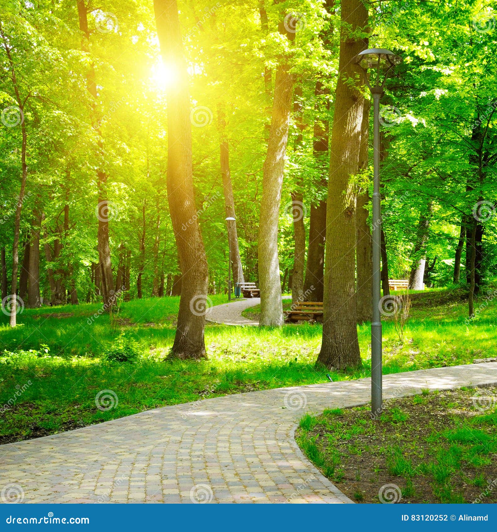 Summer Park with Walking Paths Stock Photo - Image of scene, outdoor ...
