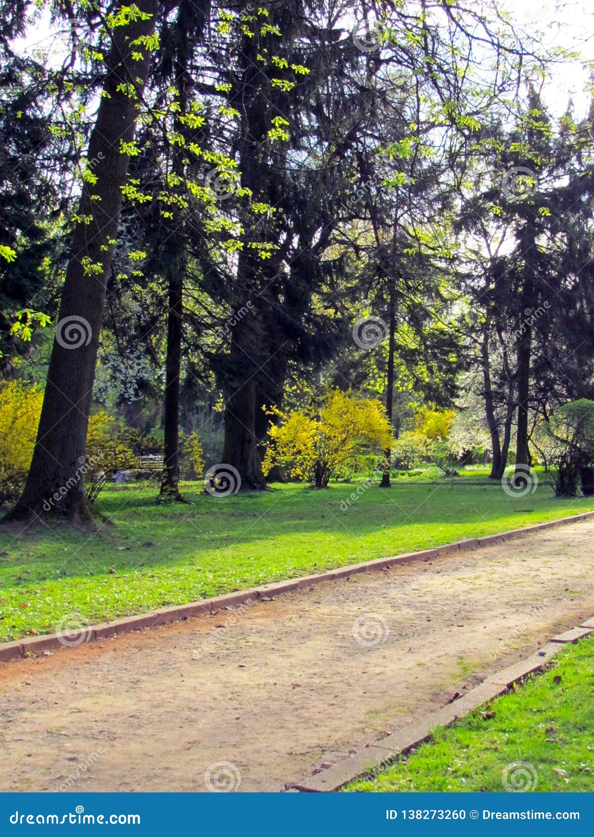 Summer Path in the Park, Surrounded by Trees Stock Photo - Image of ...