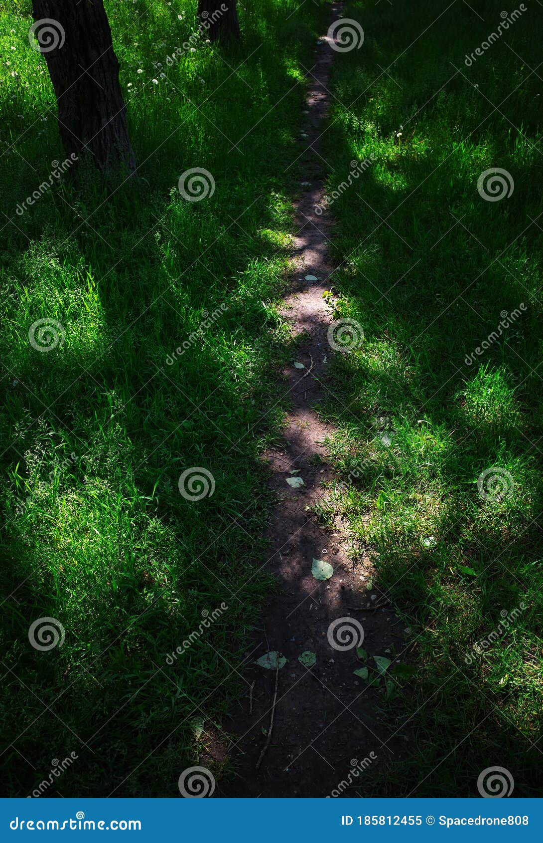 Summer Path at Sunny Park Background Stock Image - Image of shadows ...