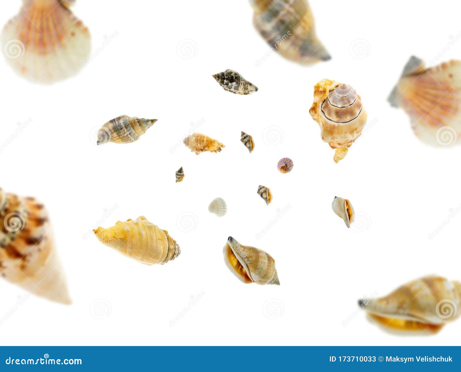 Falling Seashells Stock Illustrations – 4 Falling Seashells Stock ...