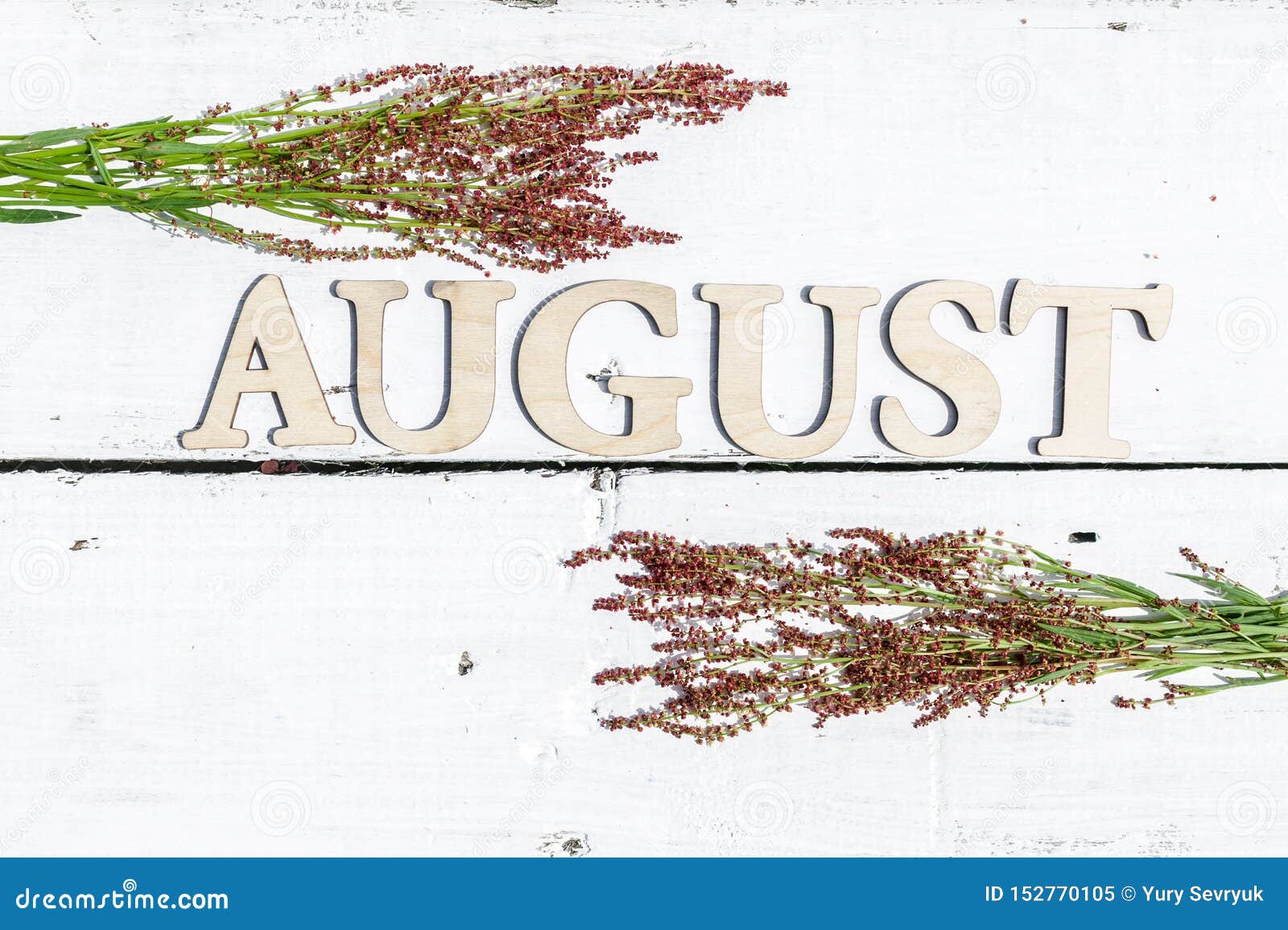 Summer Pattern: Word August and Green Leaves on a White Wooden Rustic ...