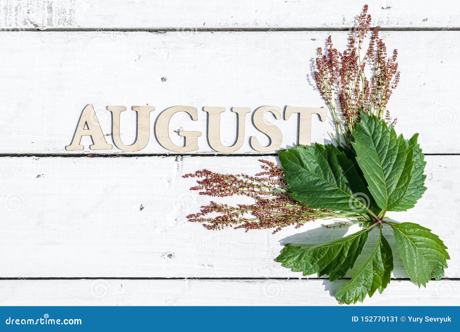 Summer Pattern: Word August and Green Leaves on a White Wooden Rustic ...