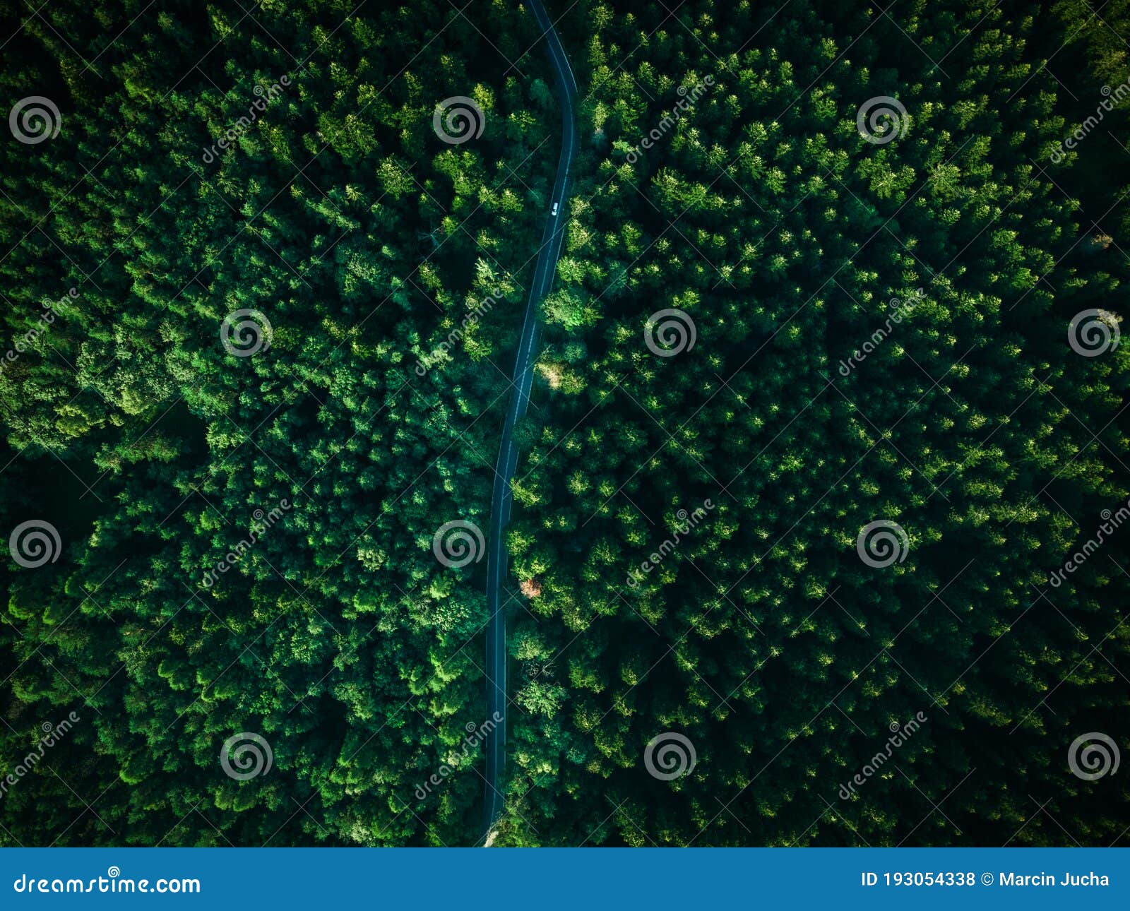 Winding Curvy Road Trough Forest. Aerial Drone Top Down View ...