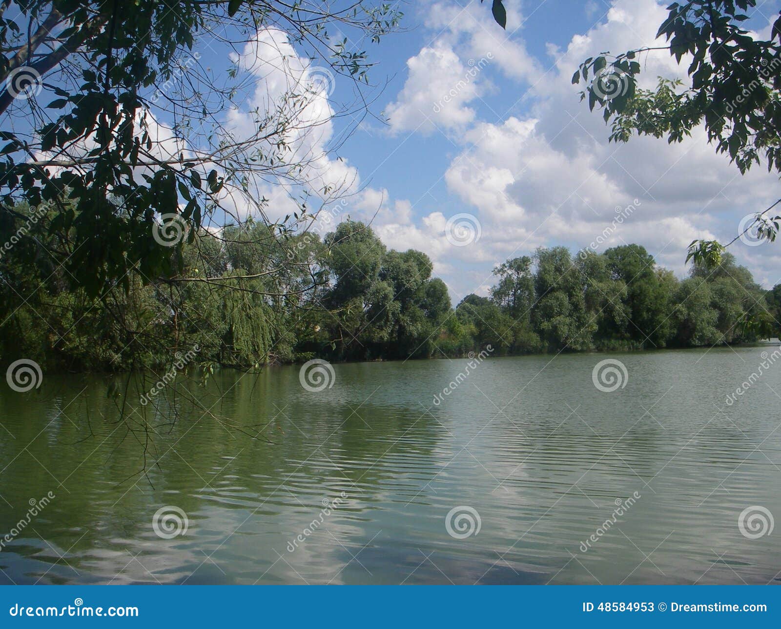 Summer pond stock image. Image of white, pond, clouds - 48584953