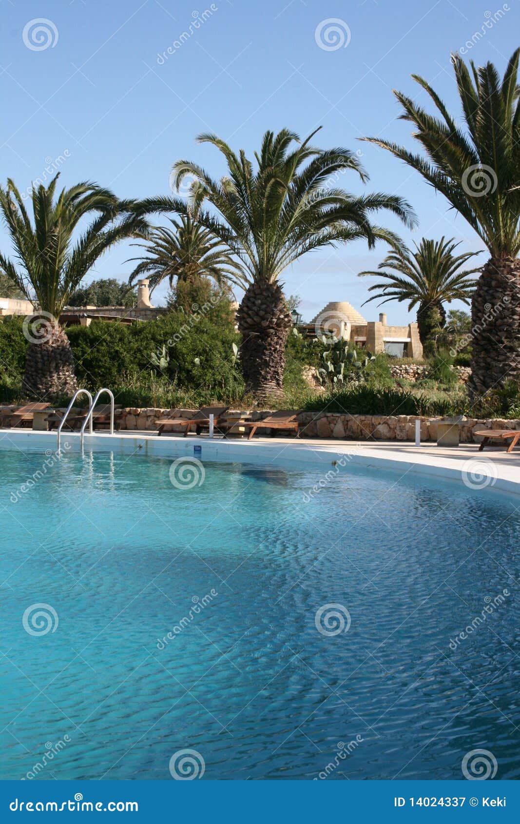 Summer by the pool stock image. Image of peace, trees - 14024337