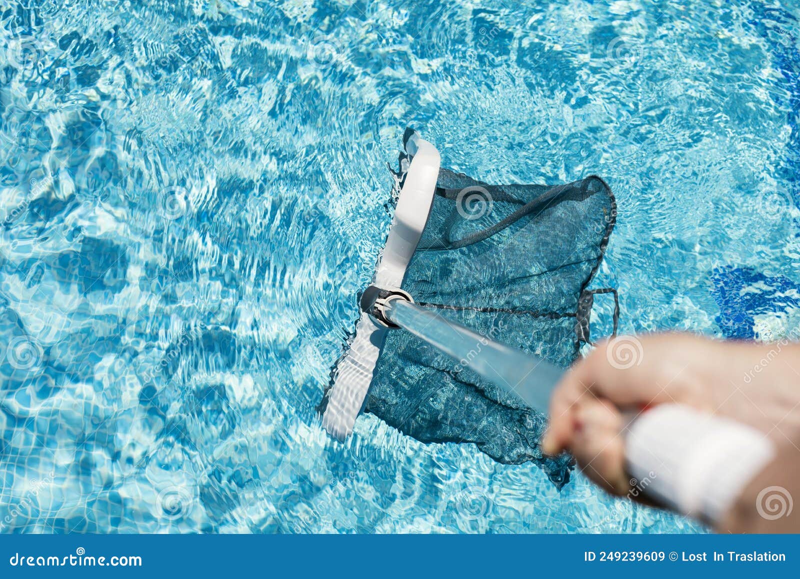 Summer Pool Leaf Catcher for Cleaning and Maintenance of the Pool Water ...