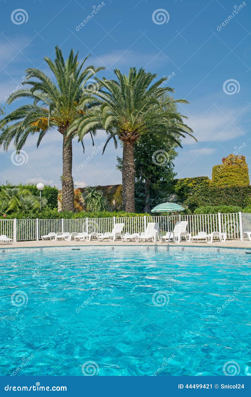 Summer pool stock image. Image of view, umbrellas, sunbed - 44499421