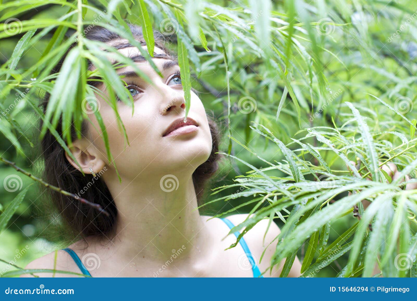 Summer portrait stock photo. Image of beauty, girl, femininity - 15646294