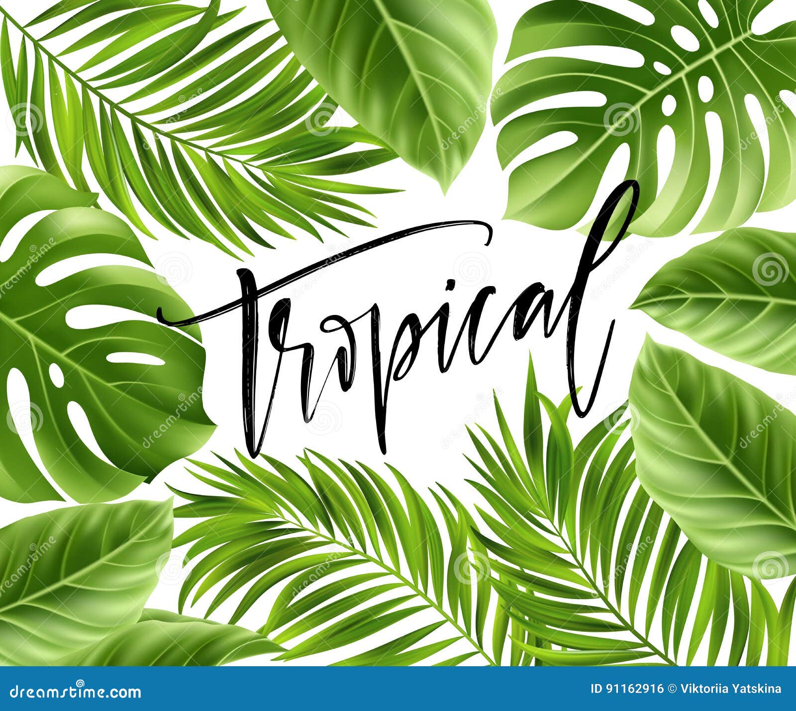 Summer Poster with Tropical Palm Leaf and Handwriting Lettering. Vector ...