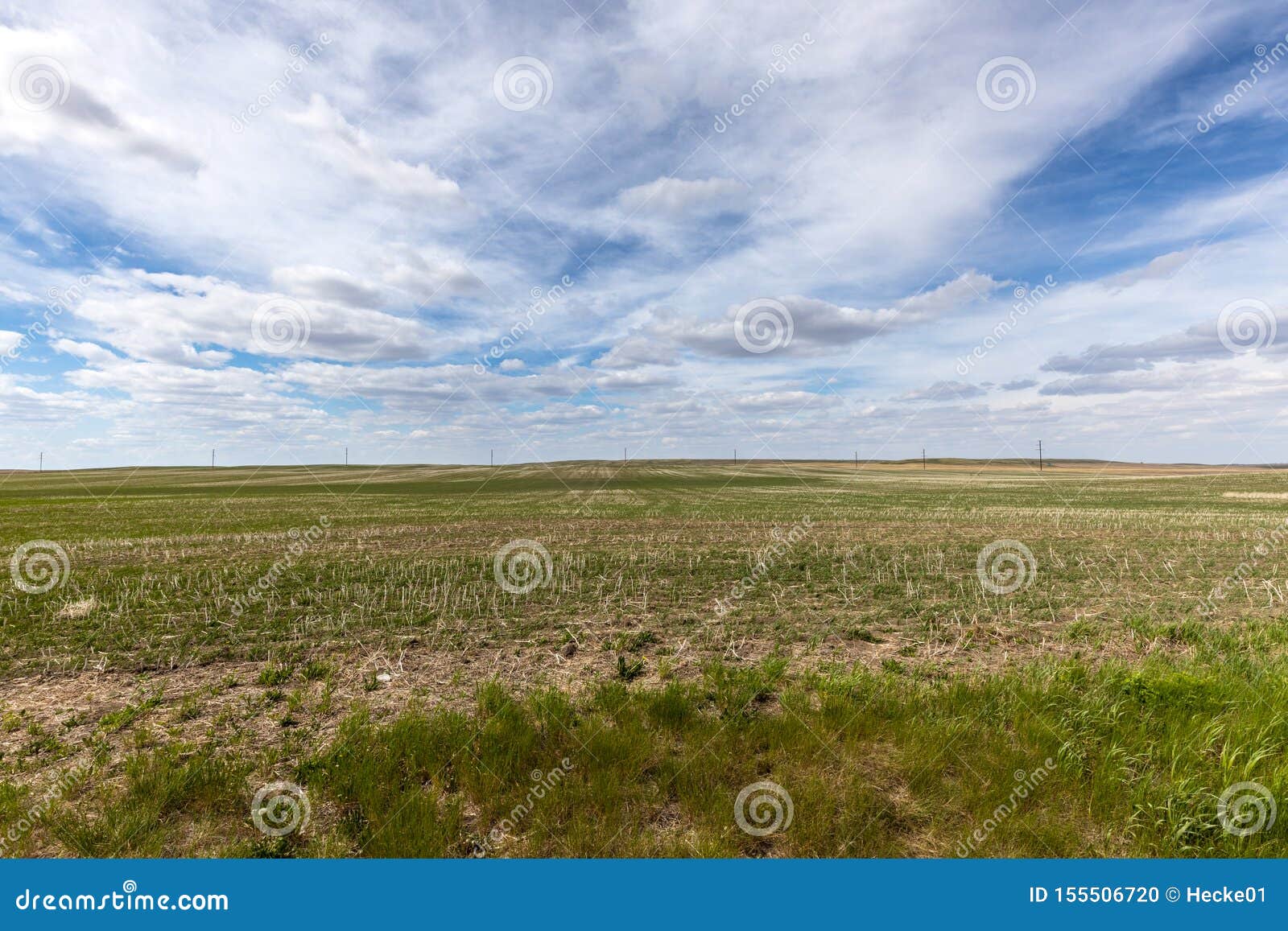 Summer in the Prairie of Canada Stock Photo - Image of outdoor ...