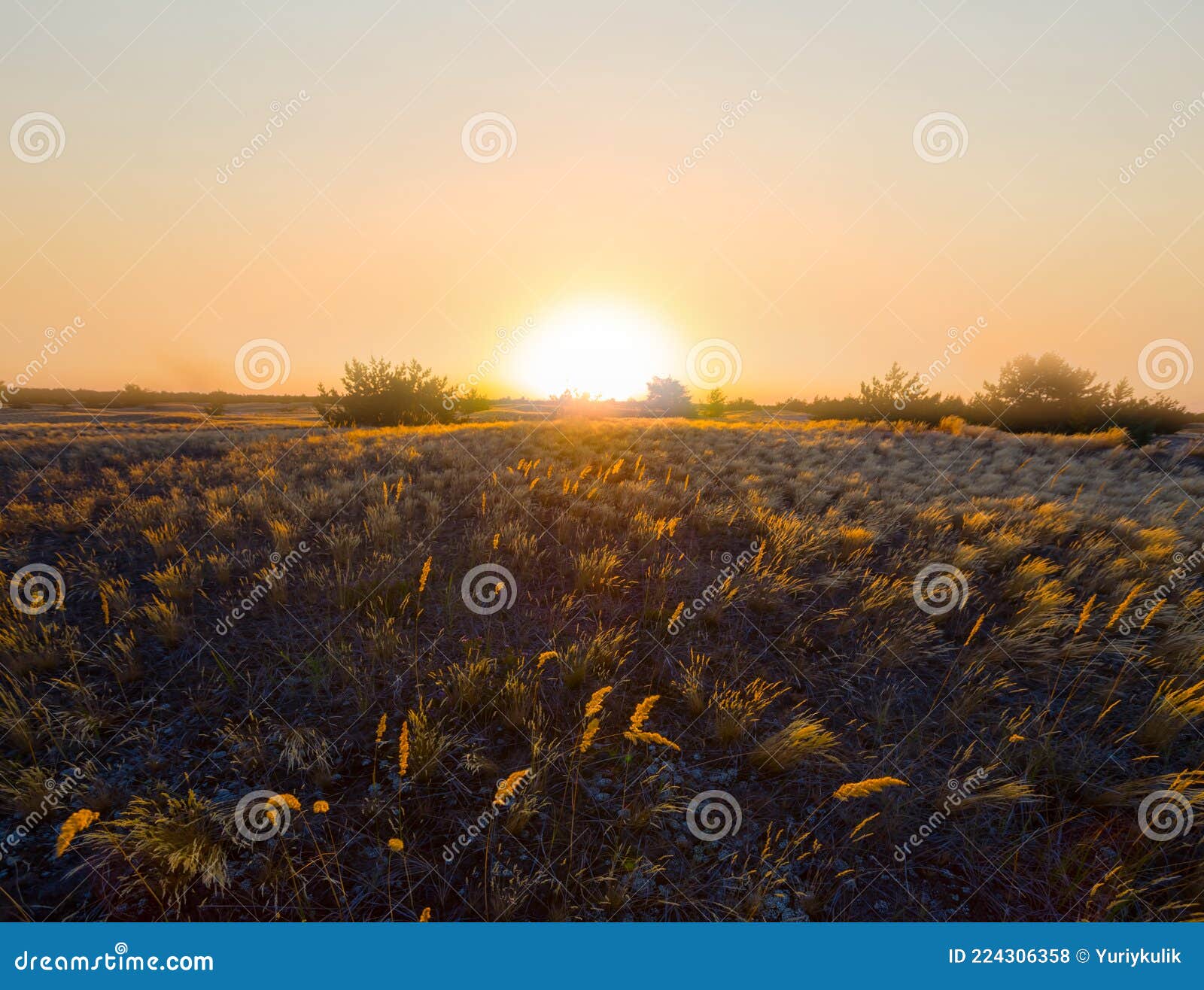 Summer Prairie at the Sunset Stock Photo - Image of scene, extensive ...