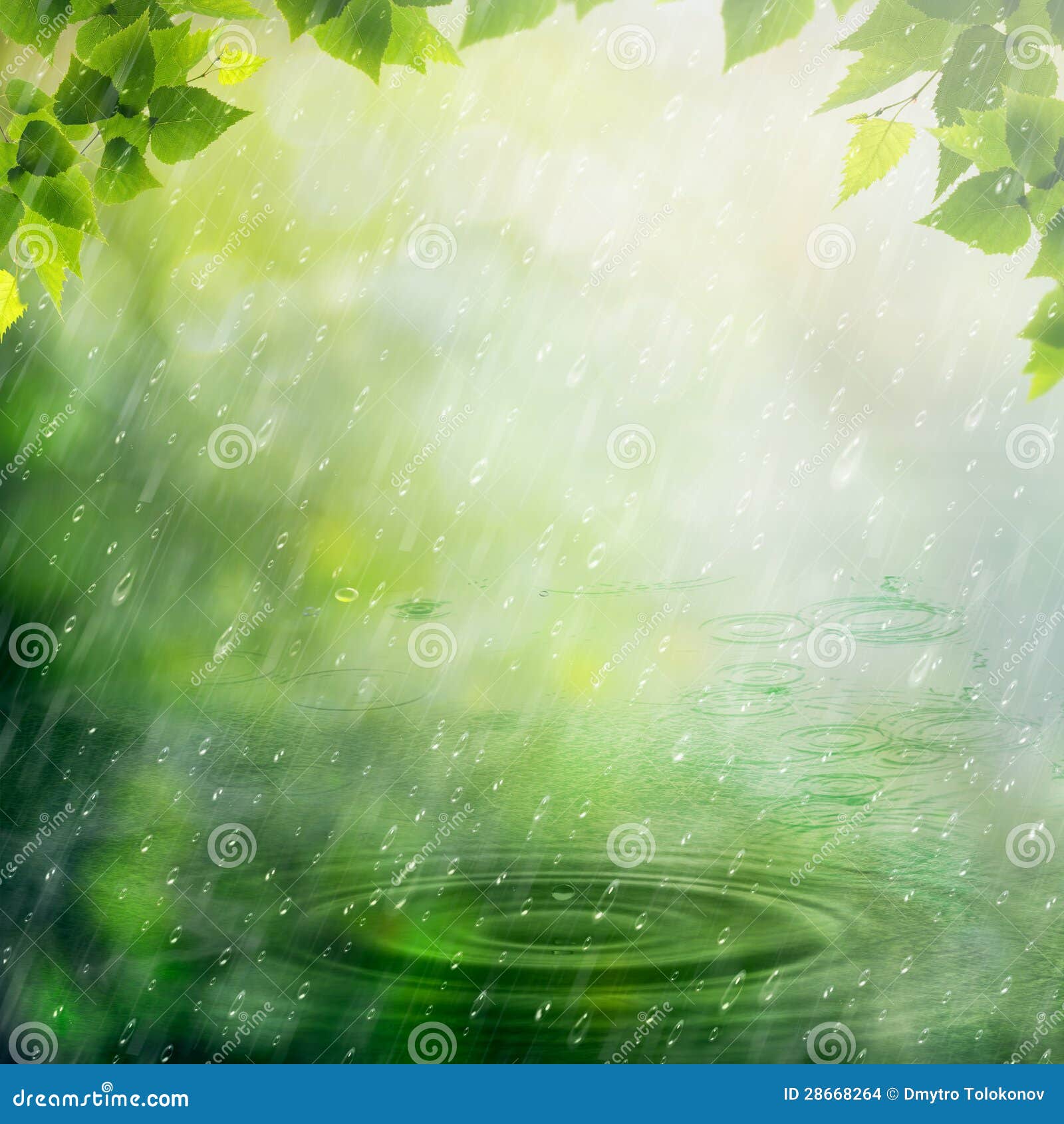 Summer Rain In Tropic Jungle Palm Trees Rainforest. Landscape With Rain ...