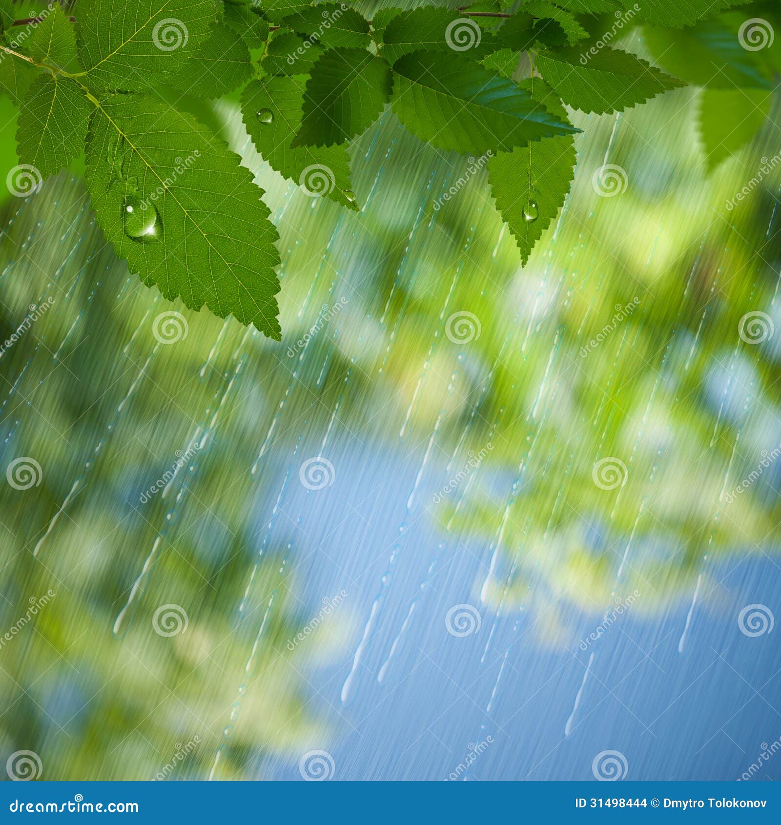 Summer Rain In Taiga. Landscape With Rain Weather. Jets Of Water Pour ...