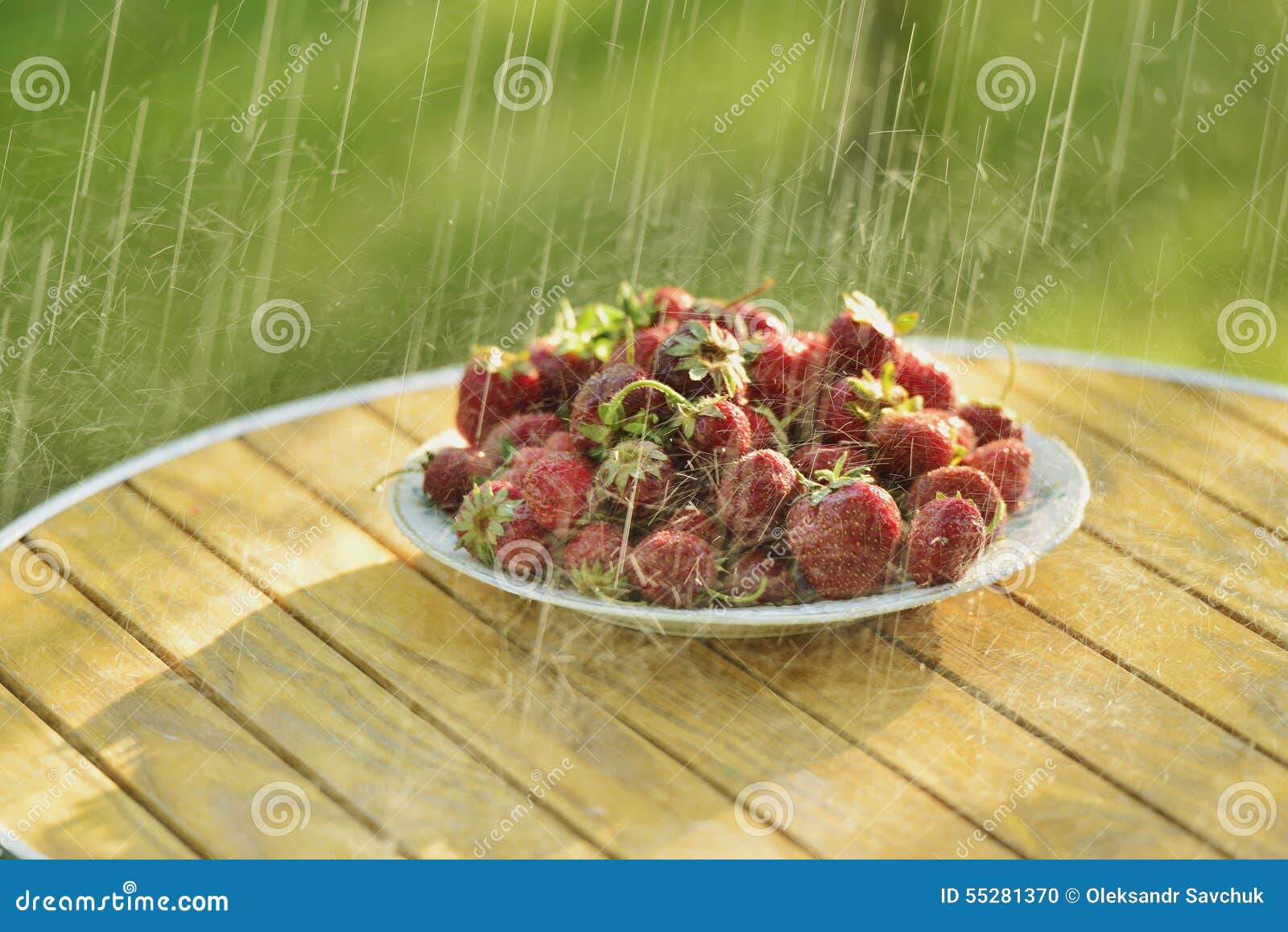 Summer Rain and Strawberries Stock Photo - Image of rays, vegetation ...