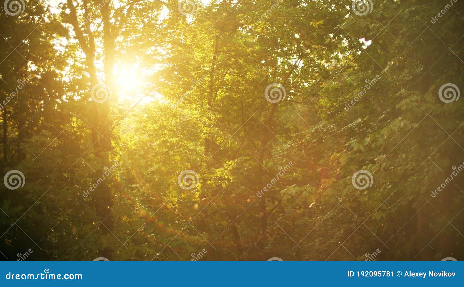 Warm Summer Rain on a Sunny Day Stock Image - Image of warm, rainy ...