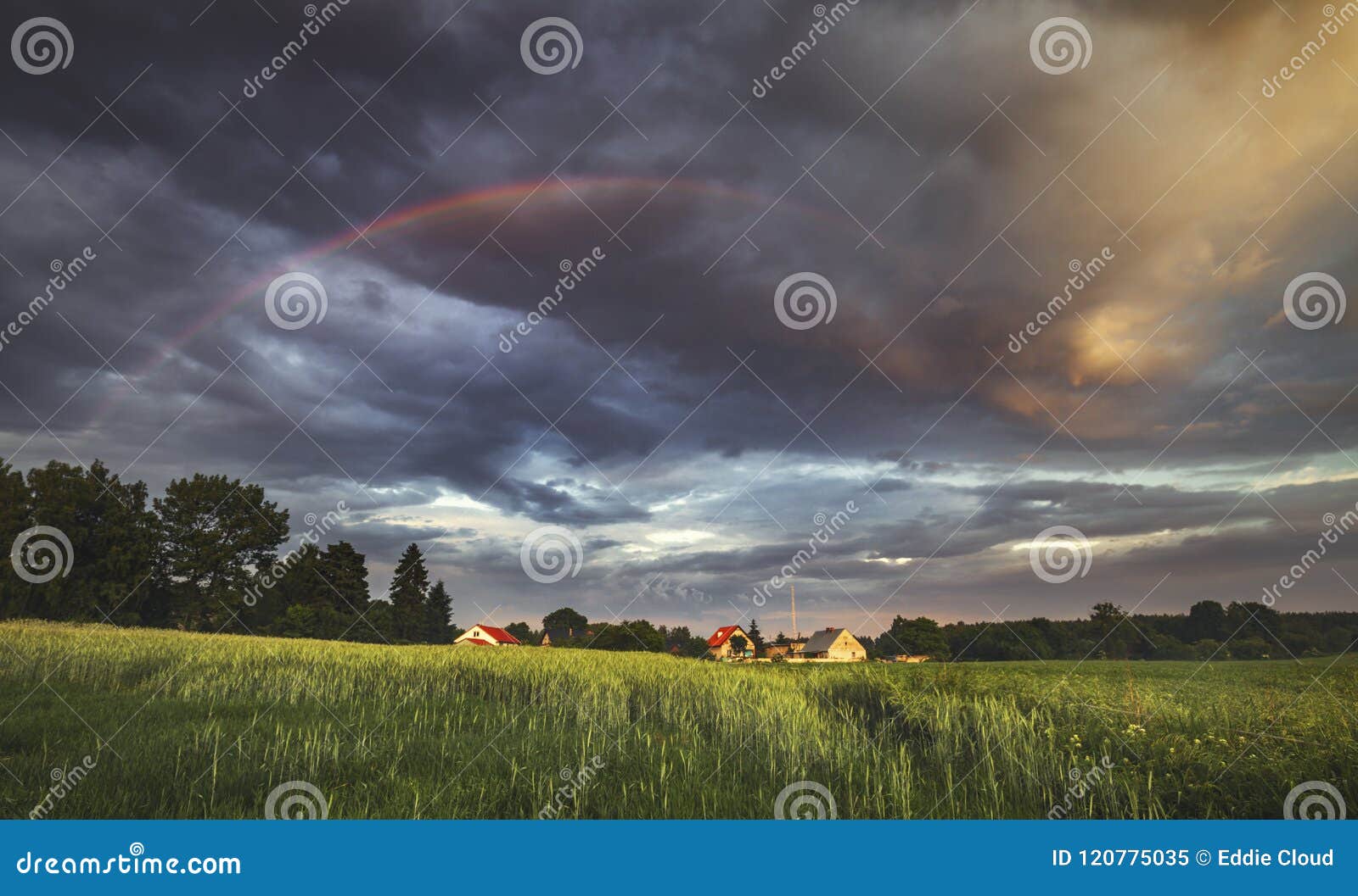 Summer Rainbow Over Countryside Fields Stock Image - Image of field ...