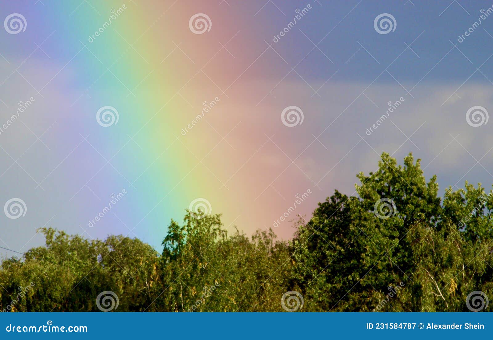 Summer rainbow stock image. Image of rainbow, forest - 231584787