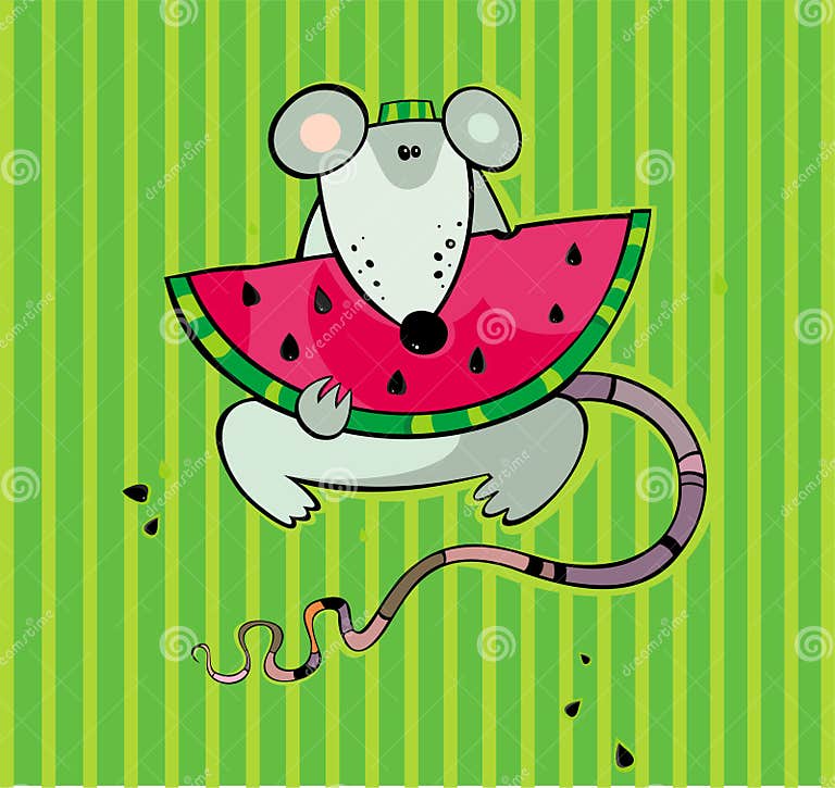 Summer rat with watermelon stock vector. Illustration of computer - 4943023
