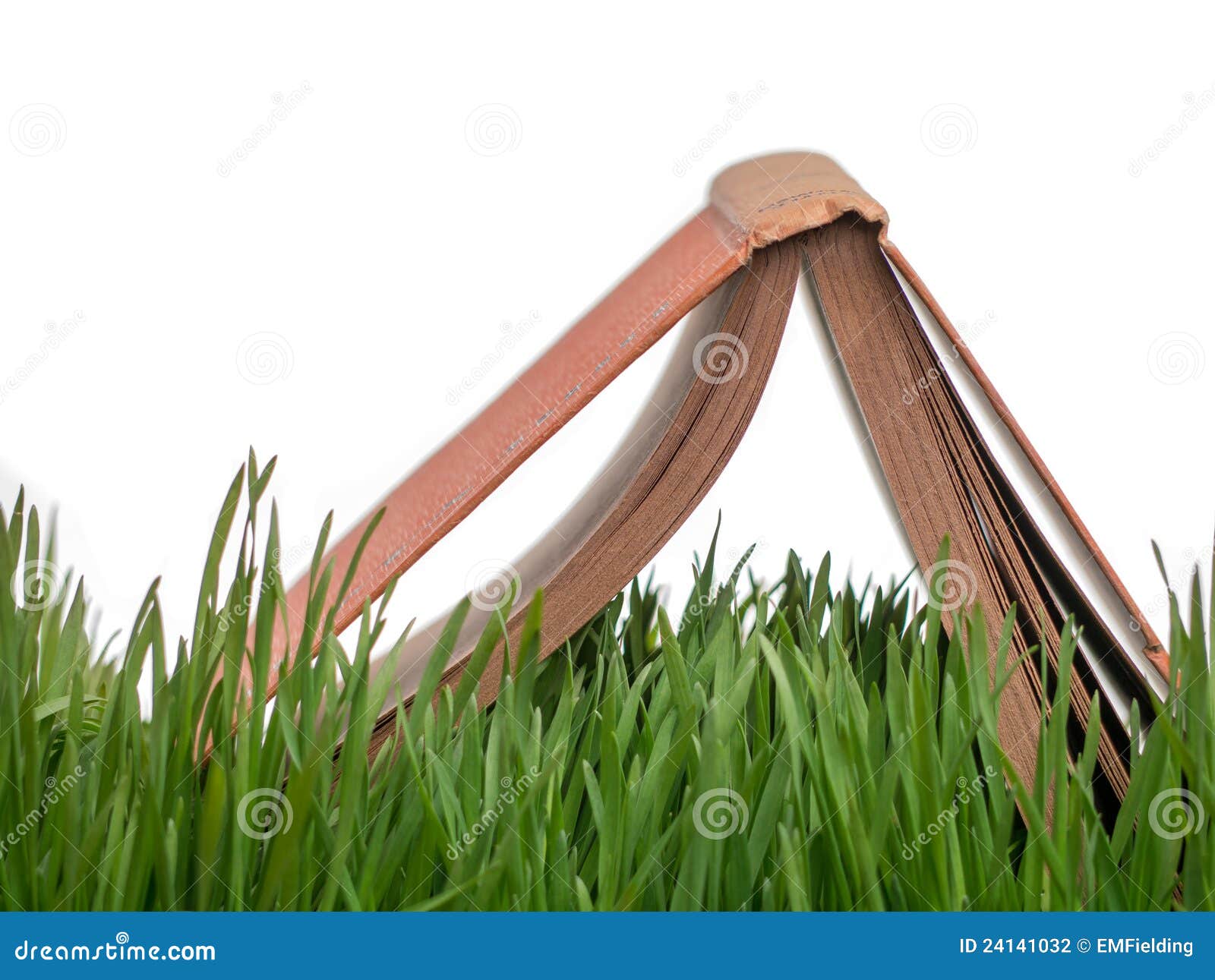 Summer Reading - Open Book on Grass Stock Photo - Image of summertime ...