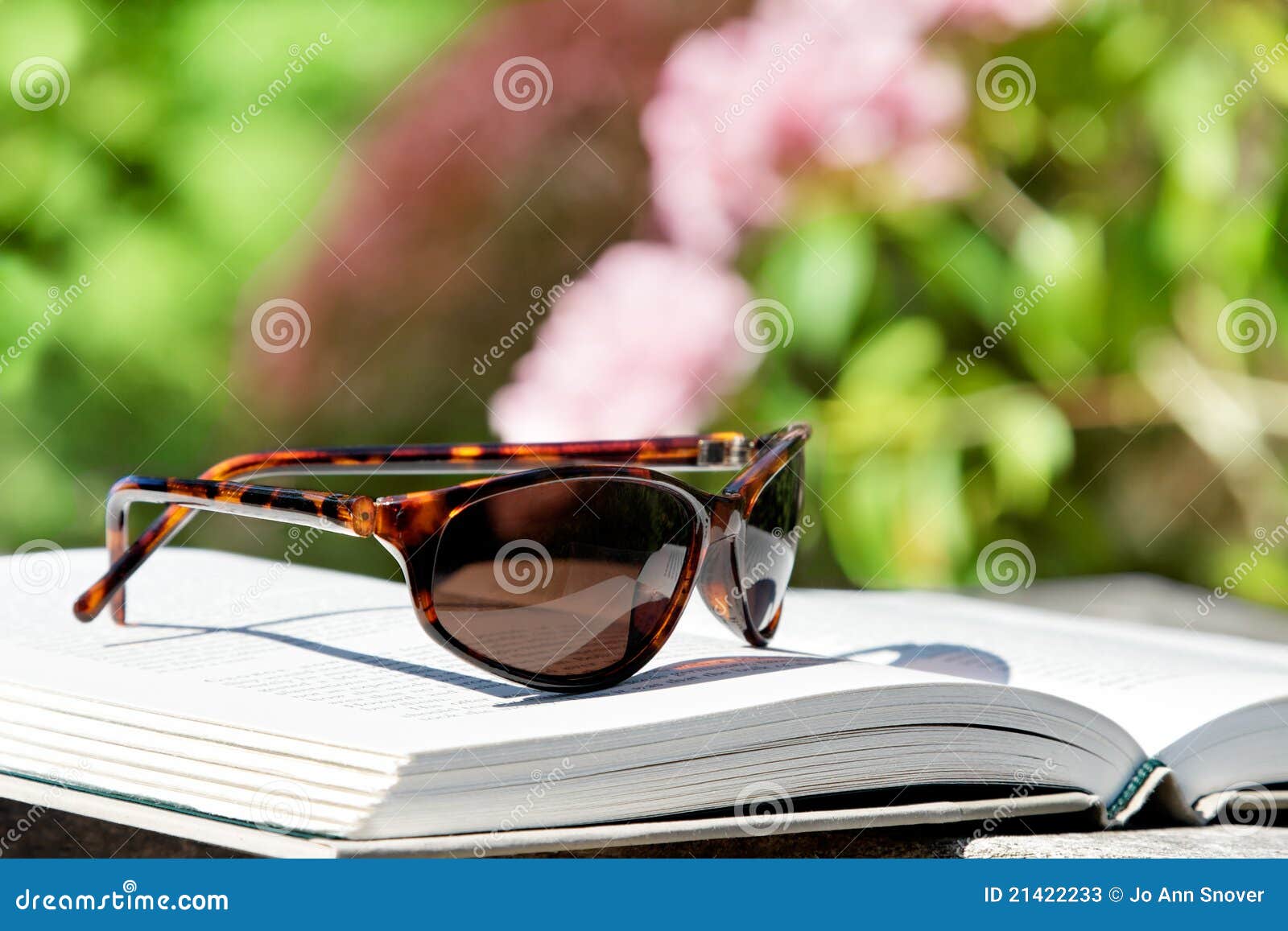 Summer reading outside stock image. Image of plants, sunlight - 21422233