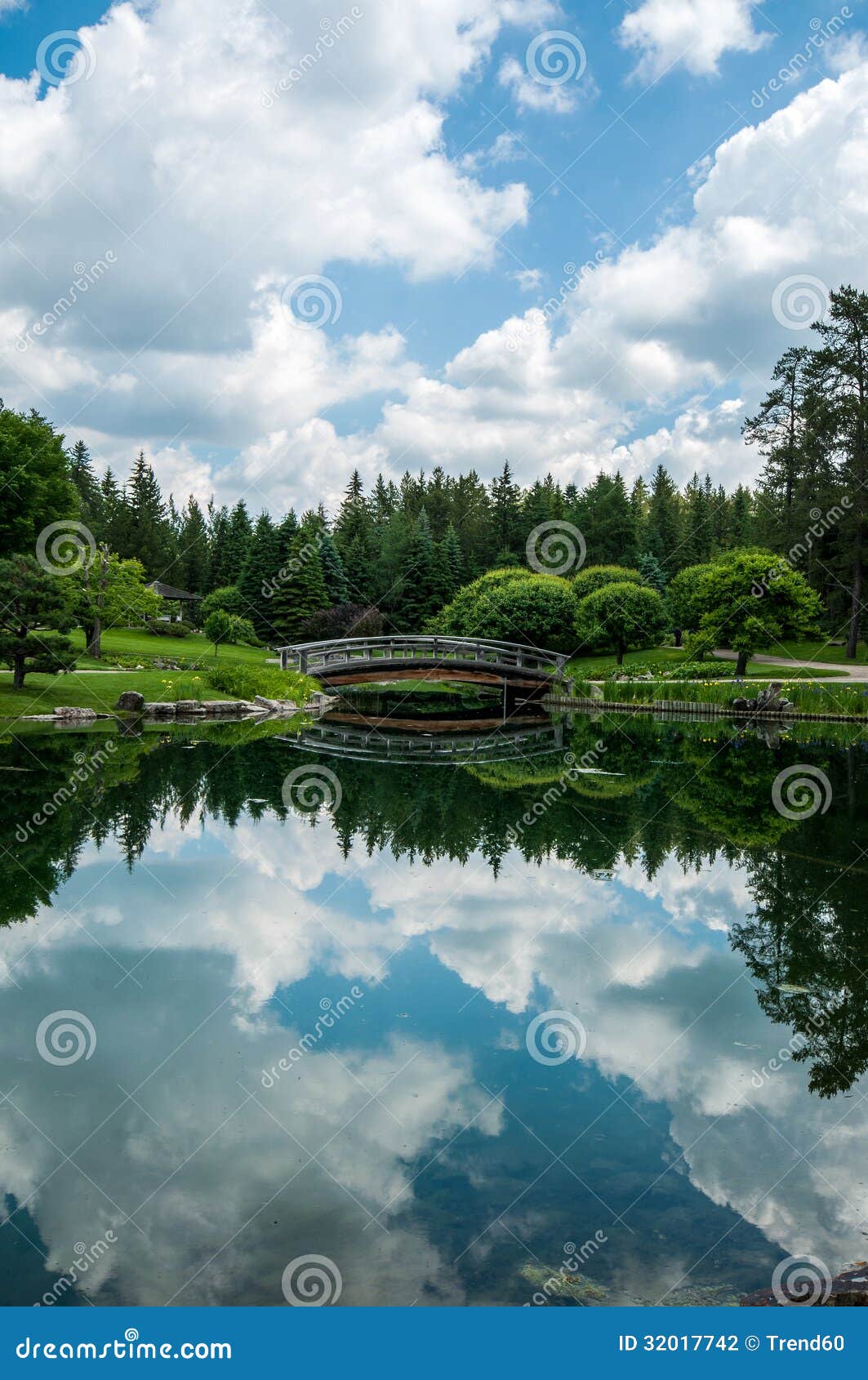Summer reflection stock photo. Image of land, environment - 32017742