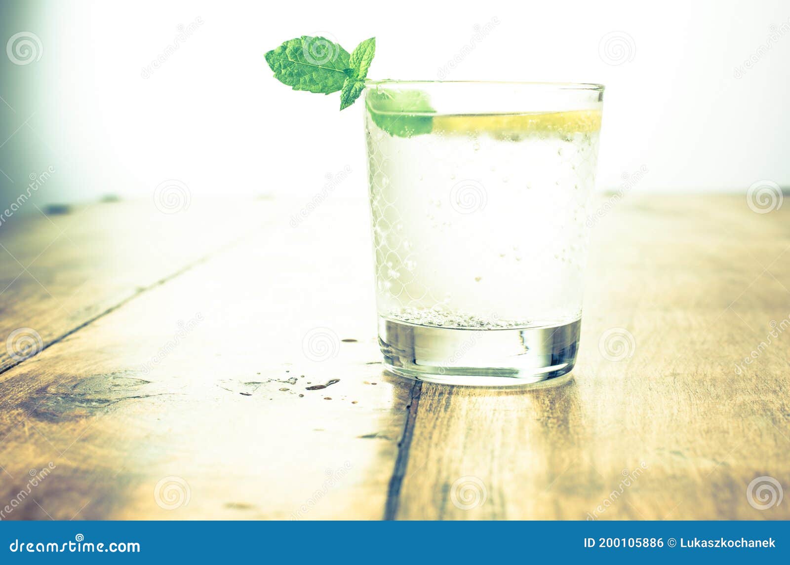 Summer Refreshment Drinks. Citrus Lemonade with Mint Stock Photo ...