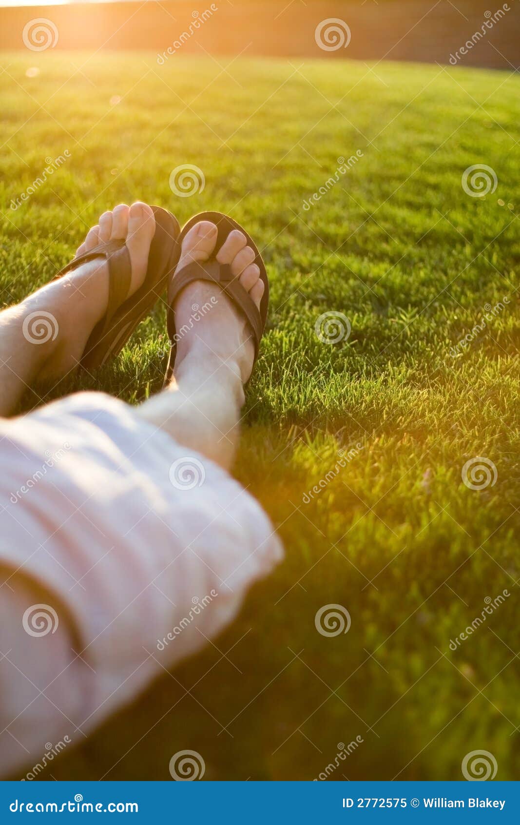Summer Relaxation stock image. Image of relaxation, activity - 2772575