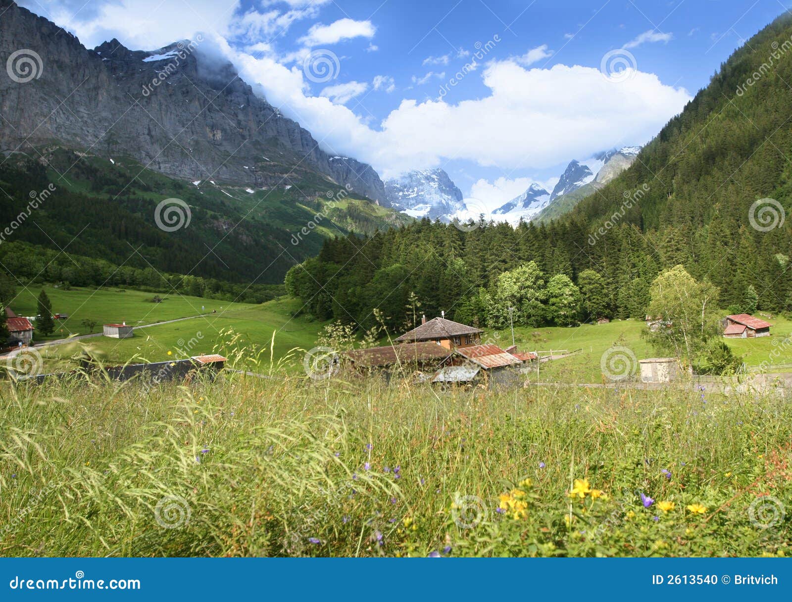 Summer Relief of Swiss Alps Stock Photo - Image of clear, enjoying: 2613540