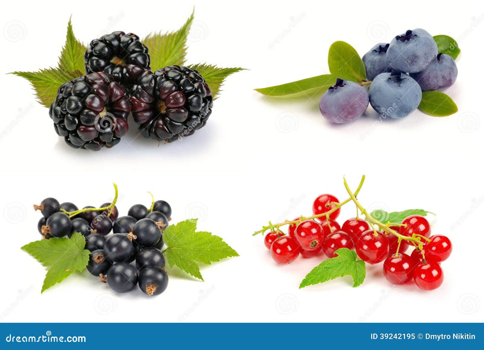 Summer Ripe Berries with Leaves Stock Image - Image of fruit, bramble ...