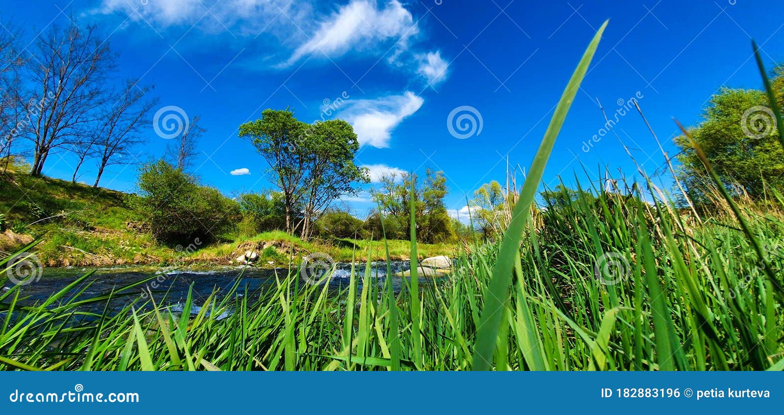 Summer on the river stock photo. Image of vegetation - 182883196