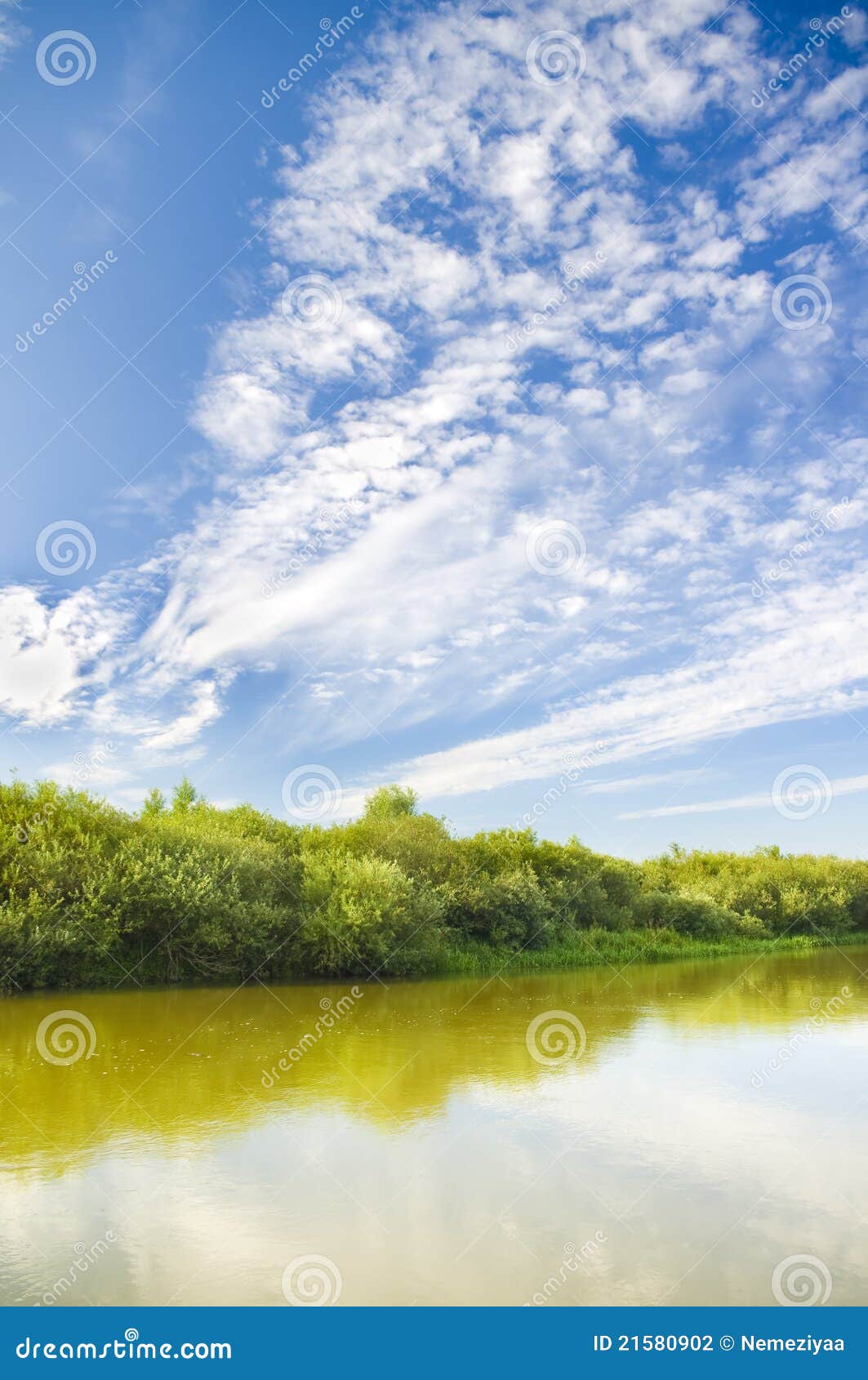 Summer river. stock photo. Image of river, meadow, plant - 21580902