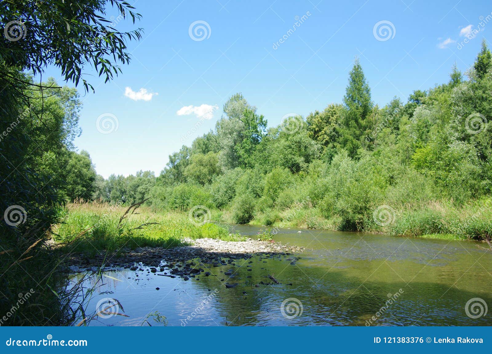 Summer by the river stock photo. Image of forest, rural - 121383376
