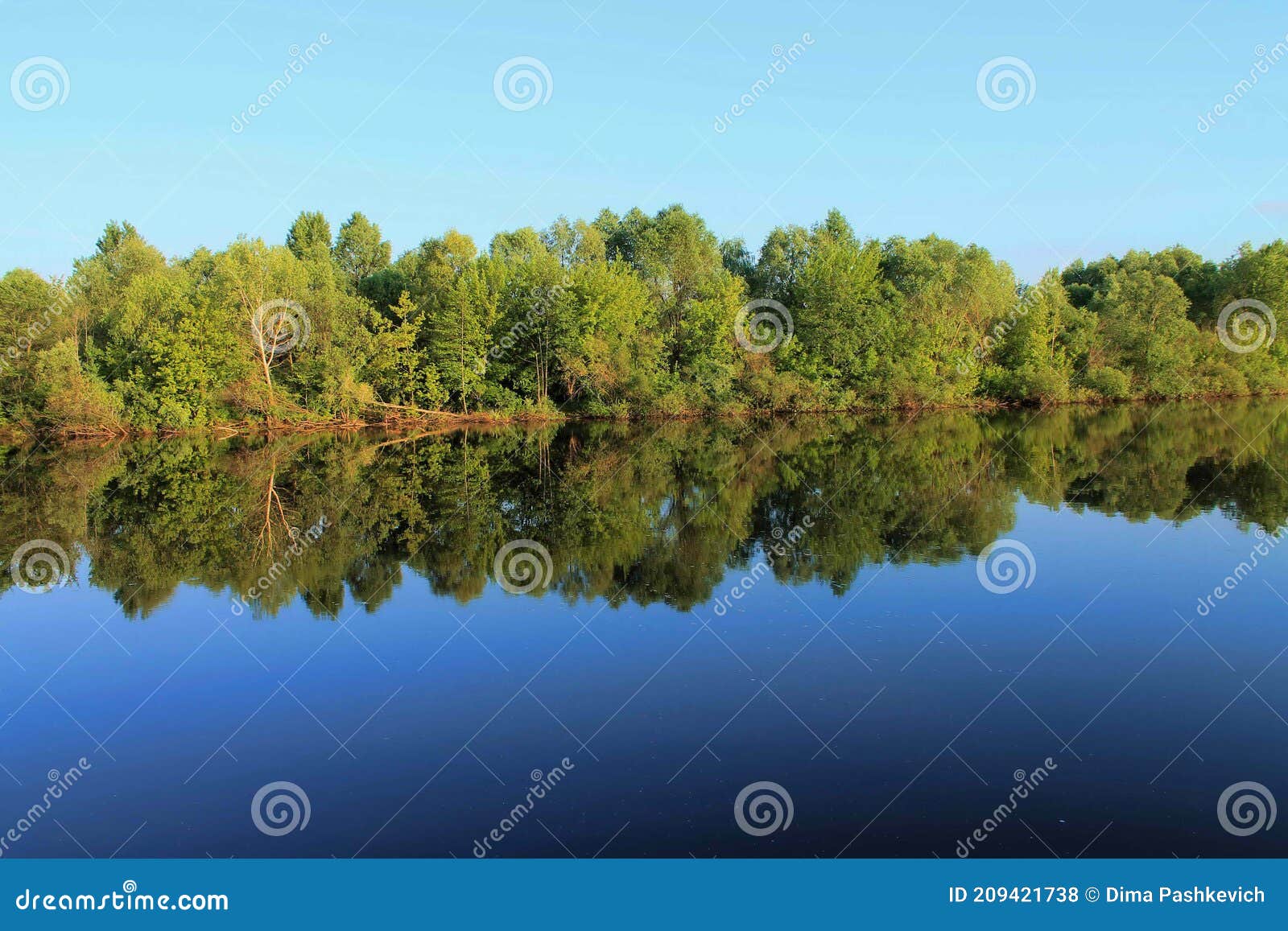 Summer by the River in Clear Weather Stock Photo - Image of silence ...