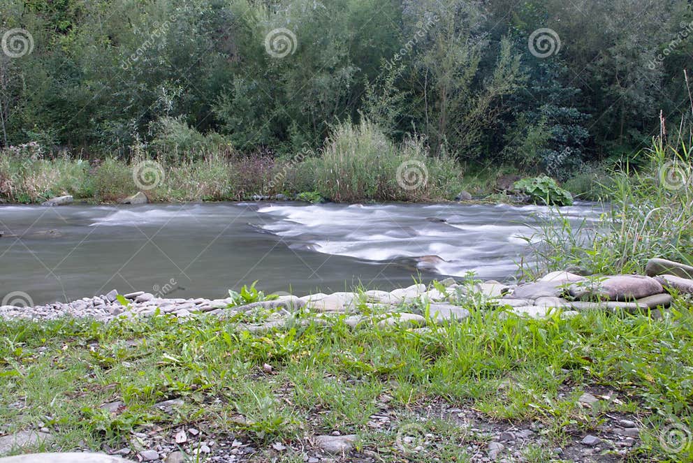 Summer river Moravka stock image. Image of moravka, dark - 103482183