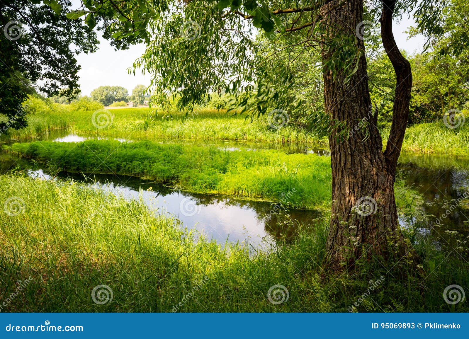 Summer on river stock image. Image of grass, environment - 95069893