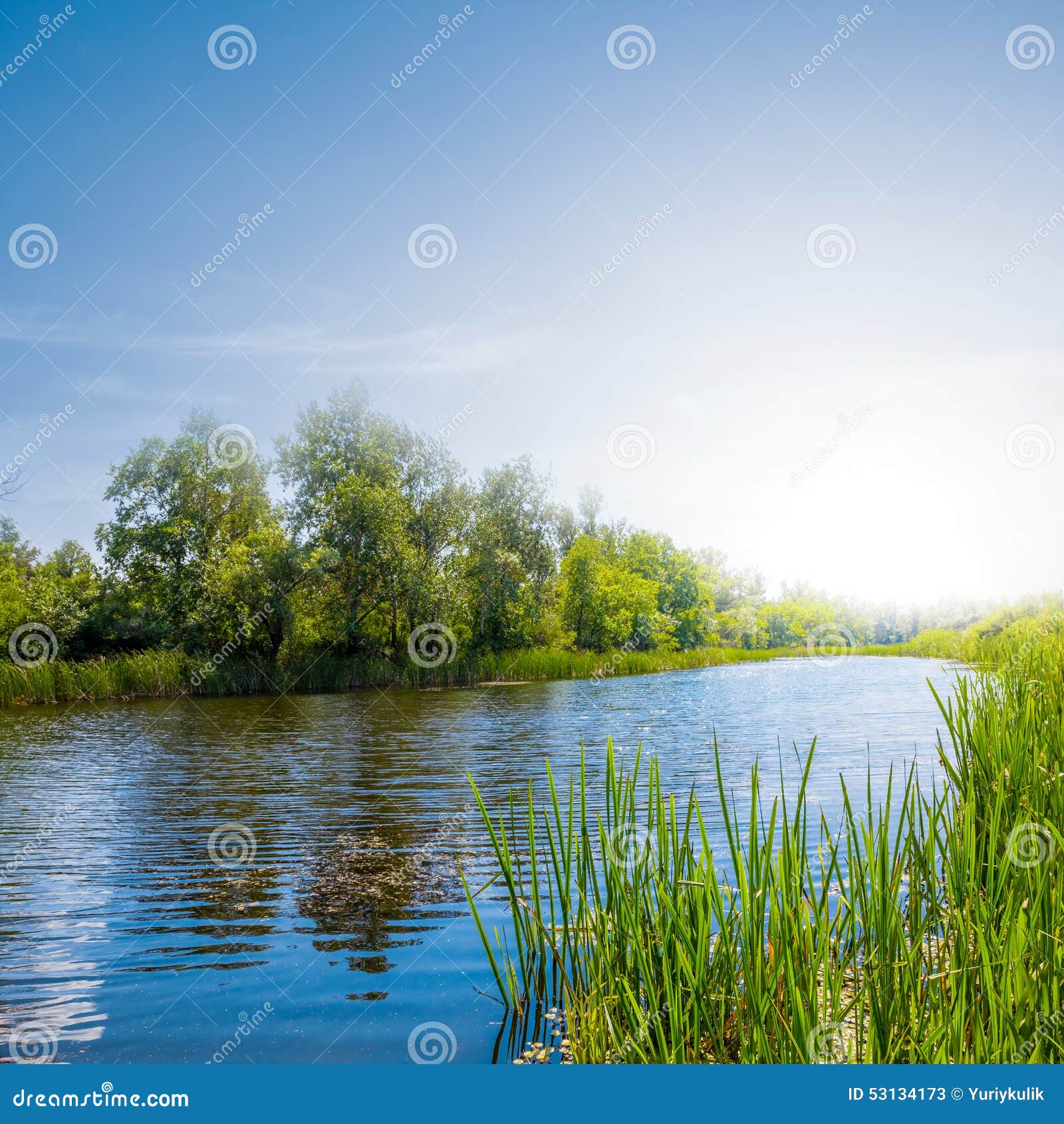 Summer river scene stock image. Image of outdoor, season - 53134173