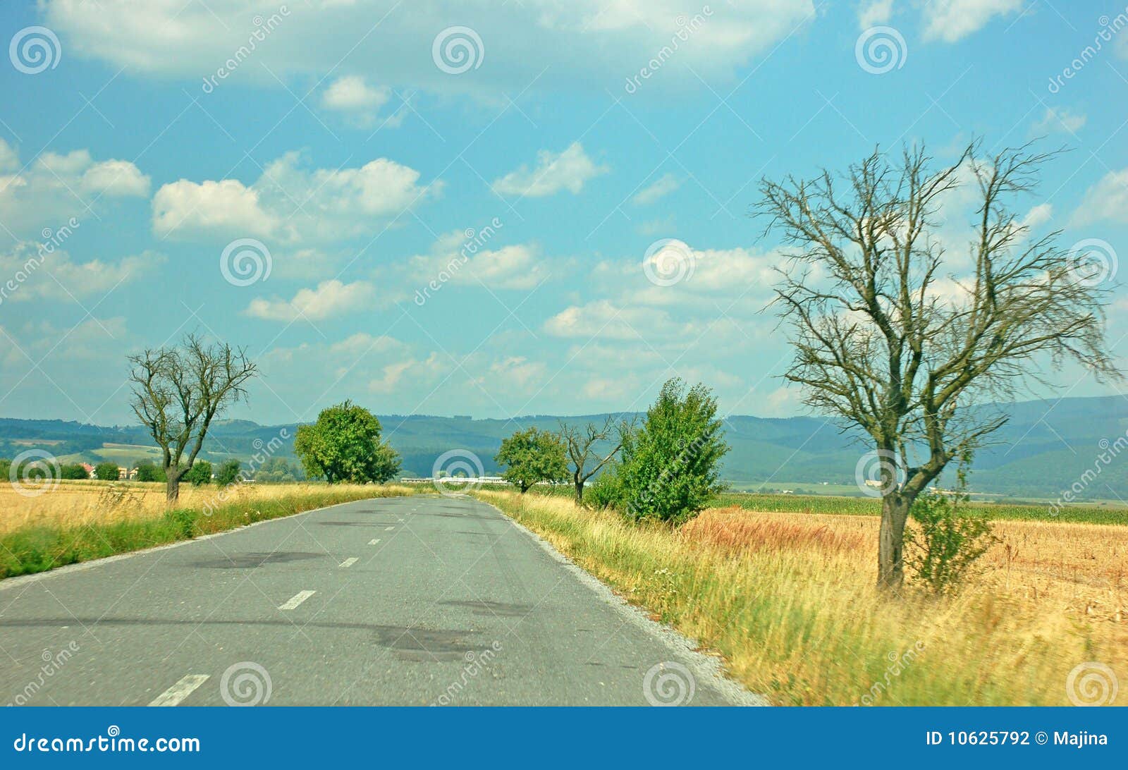 Summer road stock photo. Image of relax, green, clouded - 10625792