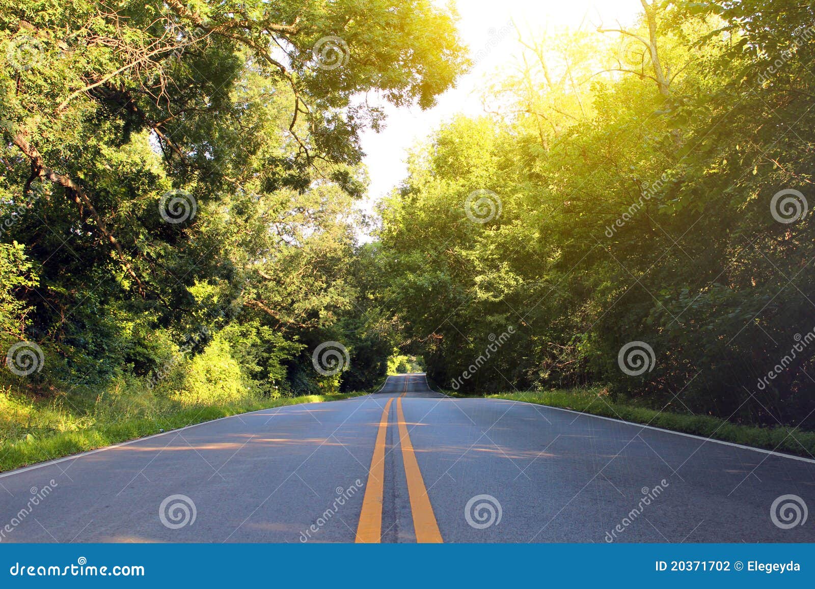Summer road stock photo. Image of light, drive, colour - 20371702